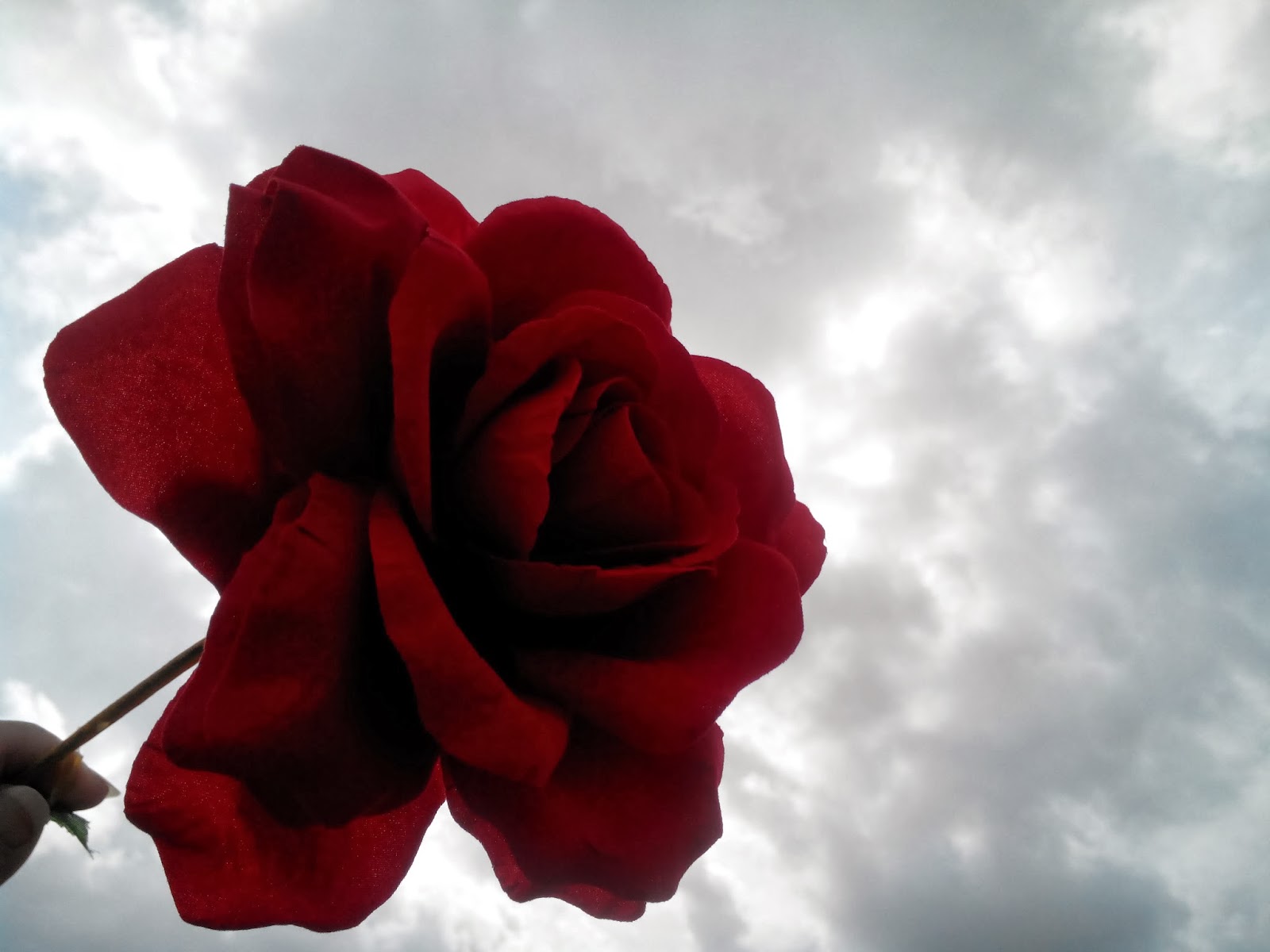 Los Mundos De Mogaly: EL AMOR