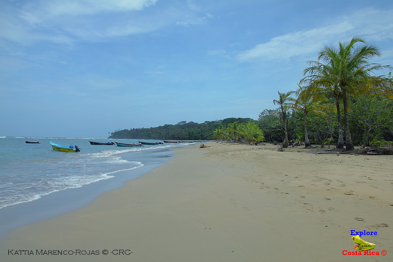Manzanillo de Limón | Explore Costa Rica