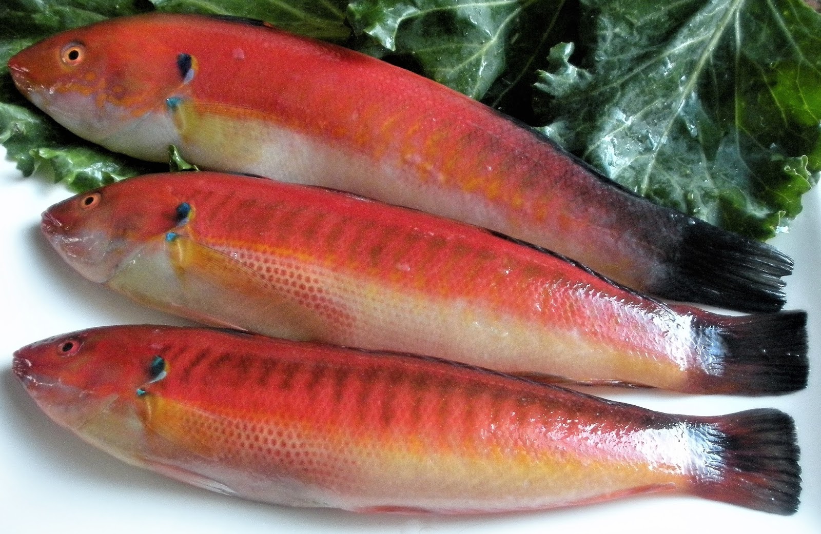 Aquí se cocina: noviembre 2017