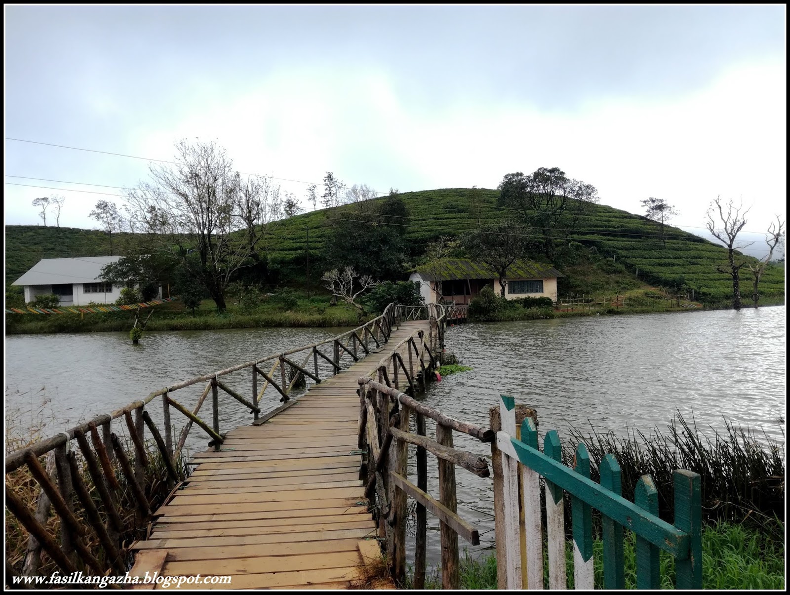 Fasil's: Tea Garden Lake , Vagamon