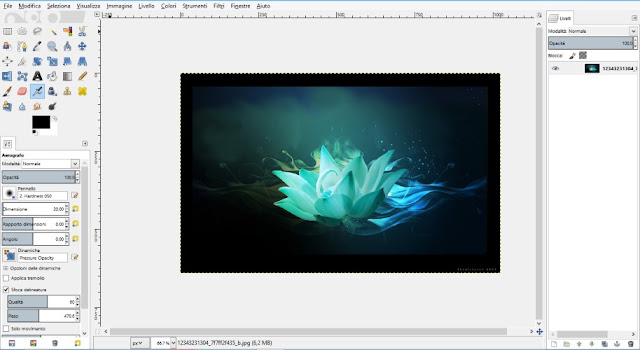 Programmi di grafica raster gratuiti