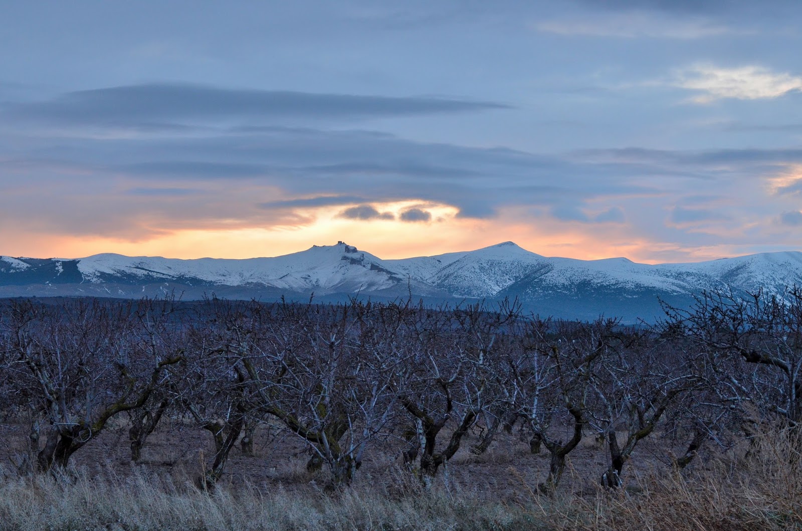 Centro de Estudios Borjanos: Reportaje con el Moncayo nevado como motivo