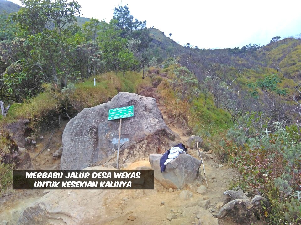 Merbabu Jalur Wekas ke sekian kalinya - #Travelnote