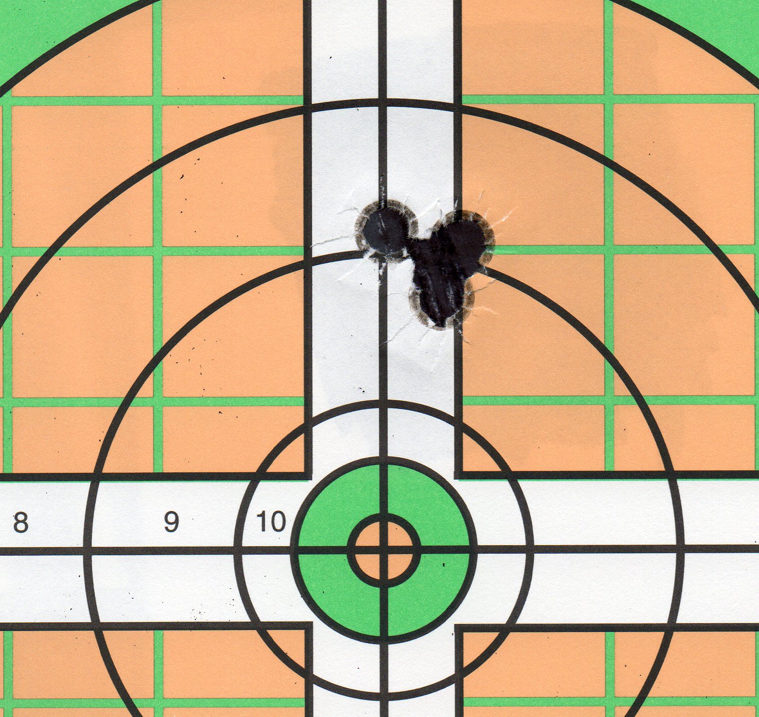 Traditions' Muzzleloader Hunting : Pellet Powder Charges VS. Loose ...