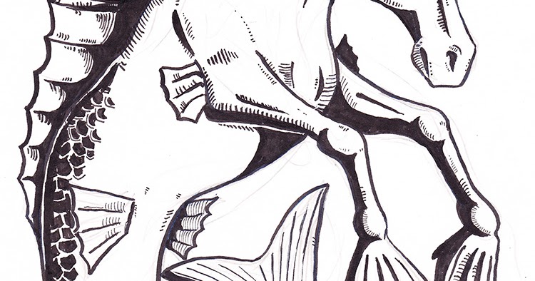 Inktober Monstrosities: H for Hippocamp