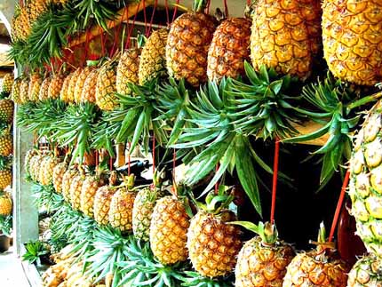 Pineapple Nutrition Facts - Health Food Nutrition