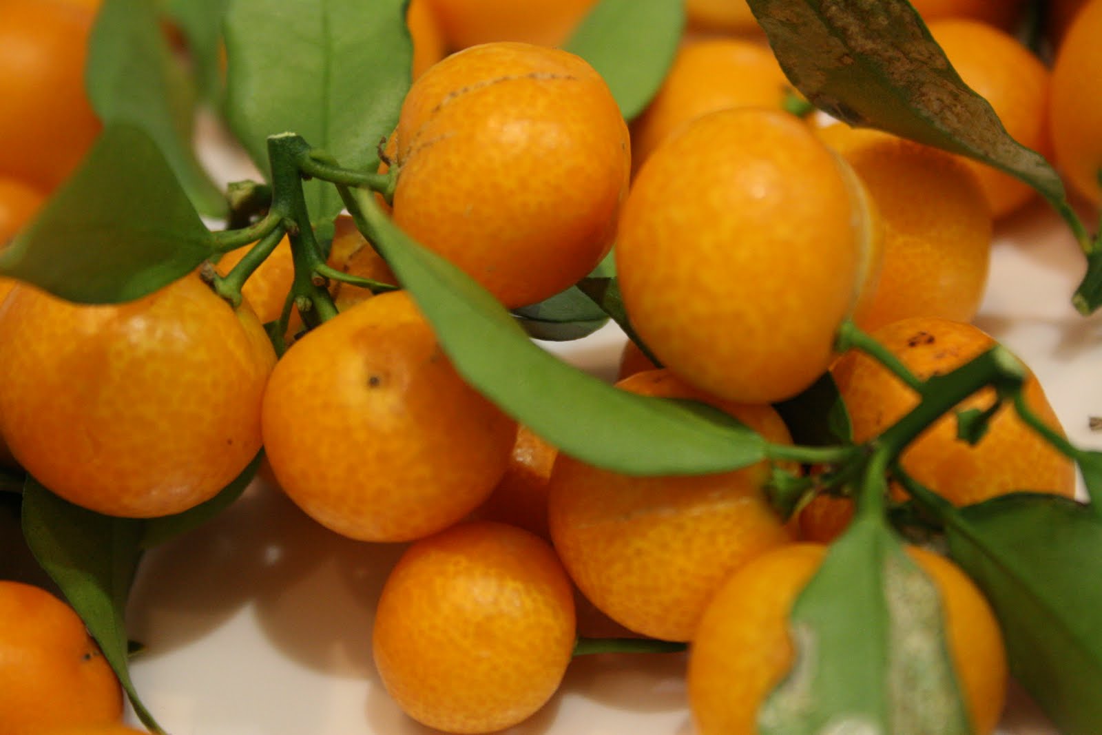 circulosdefuego: Naranja china limón ¿francés?
