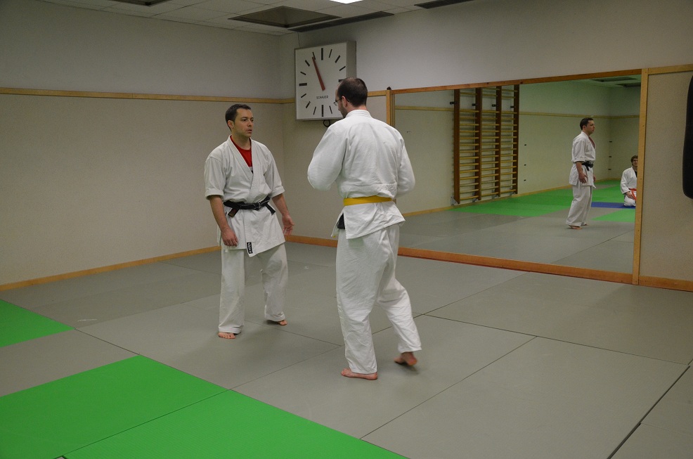 GoRyu - JuJitsu: 2011