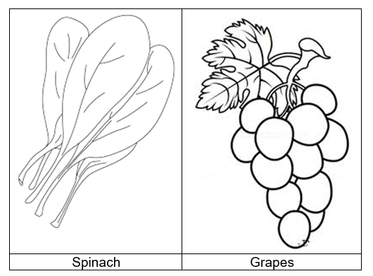 Class-4 EVS, Chapter-15, From Market to Home, Additional Exercises with ...