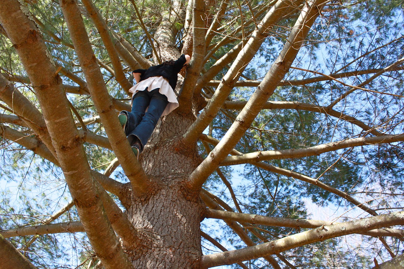 Buby + Bleu: Best Climbing Tree