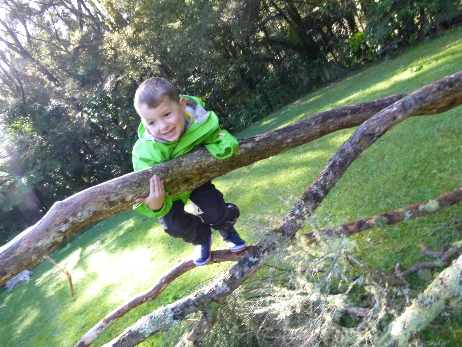 Mairtown Kindergarten: What a surprise discovery on the nature programme