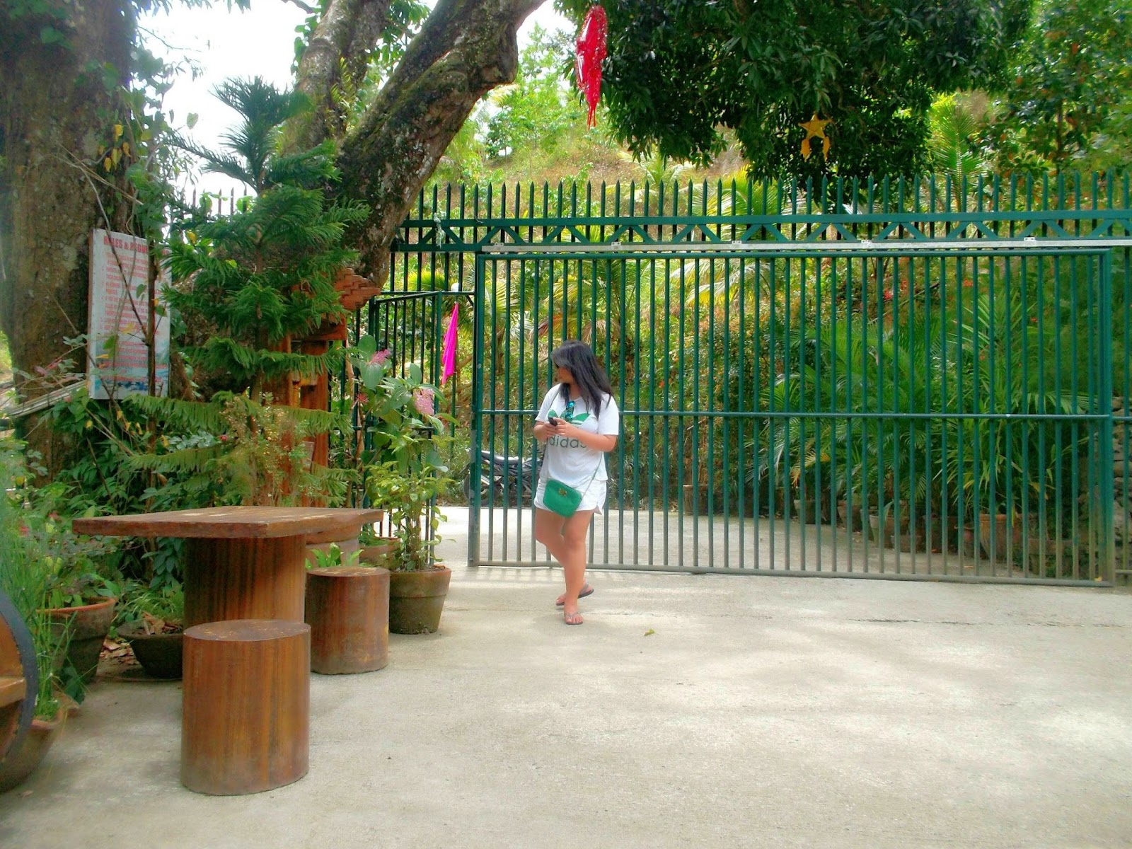 Androglossia: Lanipao Rainforest