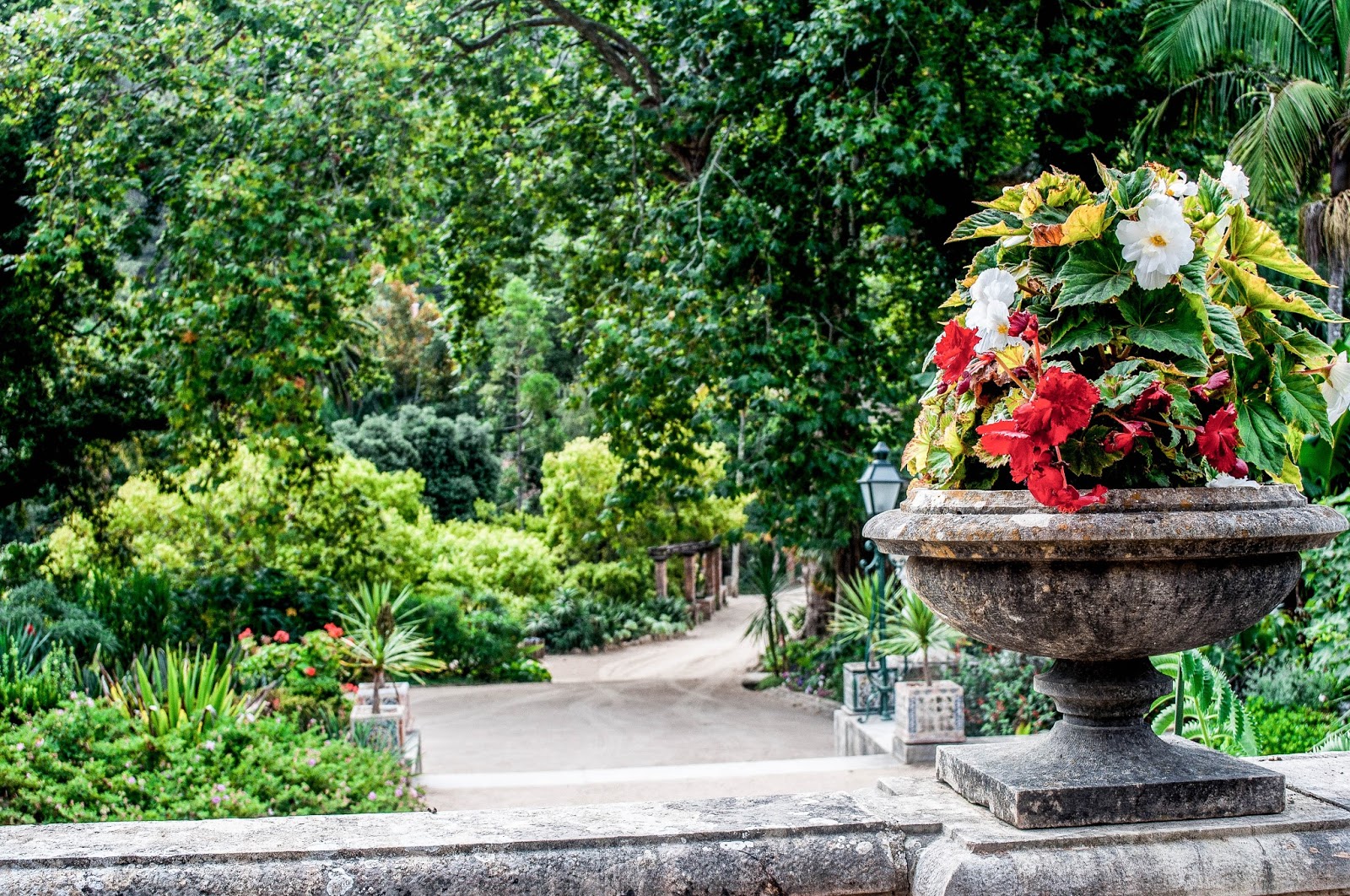 Portugal - Conheça o Mais Belo País da Europa : Palácio de Monserrate