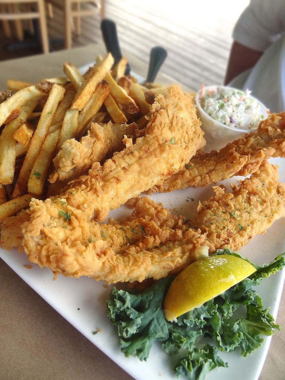 Scrumpdillyicious: The Edison and Ford Winter Estates in Fort Myers