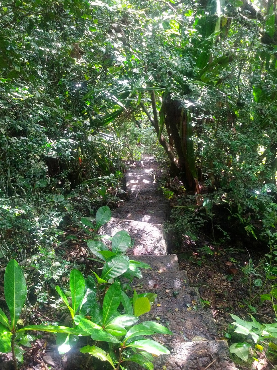 Hafa Adai: Tweed's Cave