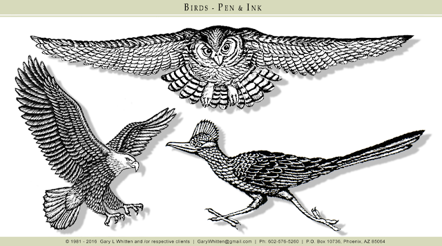 Wildlife-Illustrated: Pen & Ink - Birds