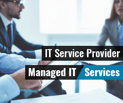 Professional IT Consultants and Web Design Company