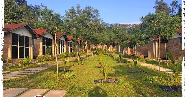 As An Unrest Life: 【Bentong｜文东】Happy Farm Bentong: Vegetable Farm｜丰收开心农场之菜园