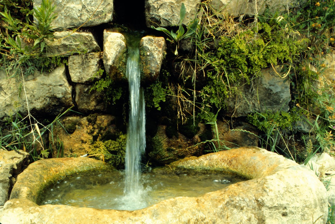 Find Natural Spring Water Near You: A Guide to Local Springs and Wells ...