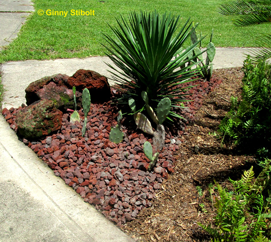 Green Gardening Matters: Rock-scaping in Florida: A good idea or not?