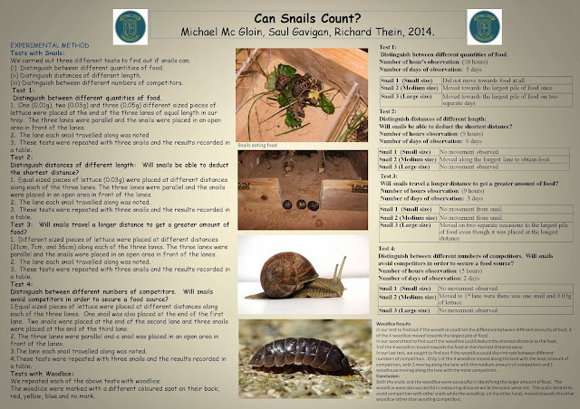 Magh Sci: BT YoungScientists 2014