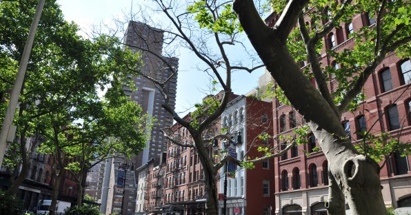EcoworldReactor: "Urban Trees As Public Health Solution"