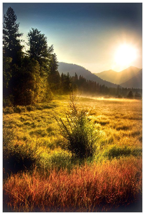 ABRINDO PORTAS NOS CÉUS E VIVENDO MILAGRES!: Somente quem tem as mãos ...