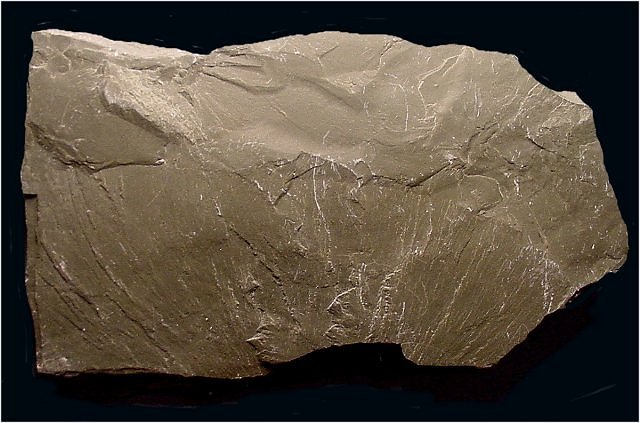 CIVIL ENGINEERING BLOG: BM