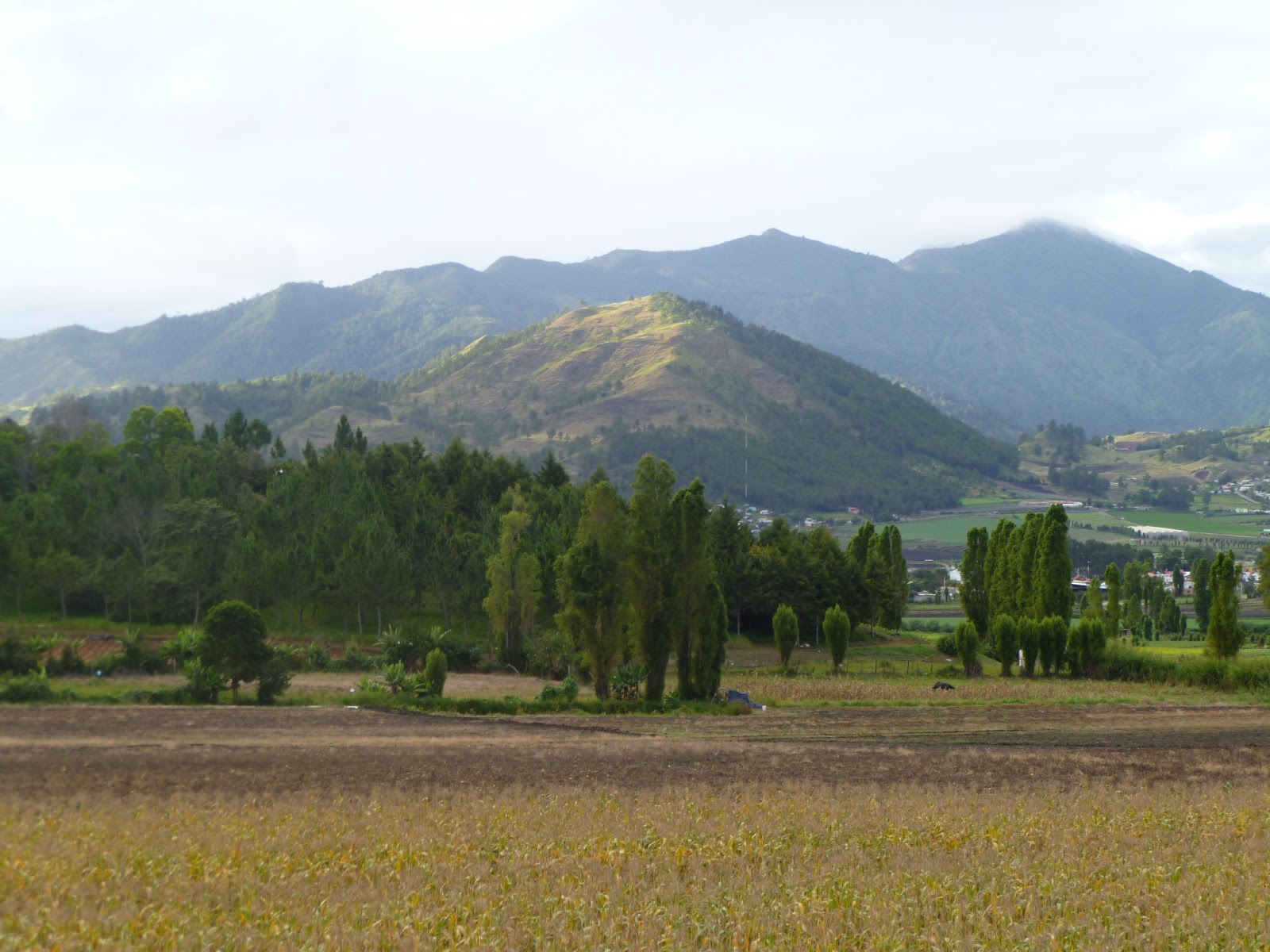 Other Places Dominican Republic: Mountain Dreaming: Constanza