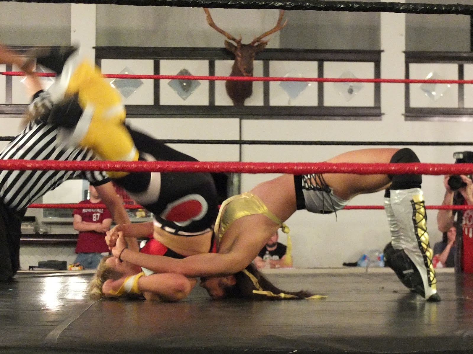 Falcon's Joshi Blog: Mia Yim Fantasy League Opponents (Japan 2012)