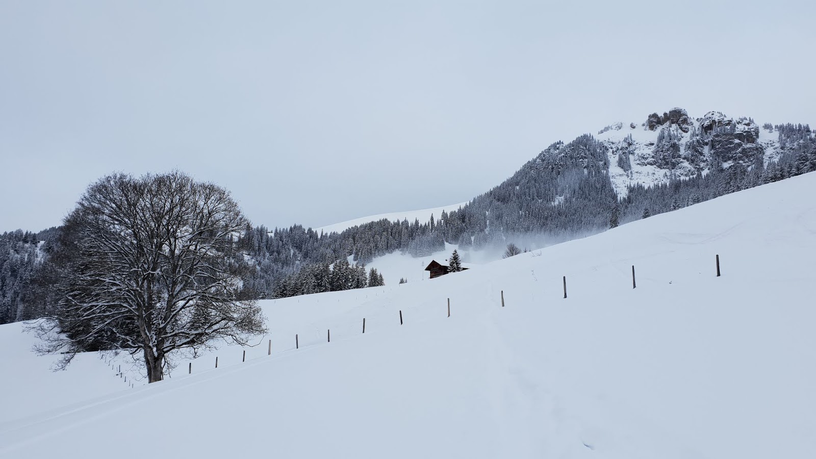 Am Berg: Der Skiberg lockte mit viel Pulverschnee