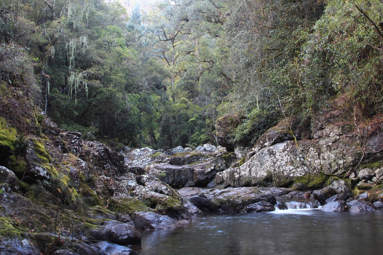 awildland: Visiting the relatives - Manning River 60r, 23r and 8r