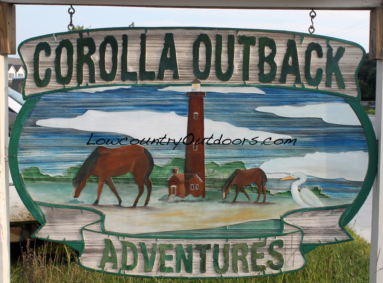Lowcountry outdoors: Wild Horses of Corolla / OBX