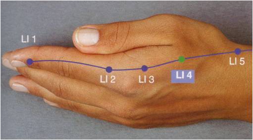 Blog-nya Pengobat Alternatif - Komplementer: Hegu, Titik Akupunktur ...