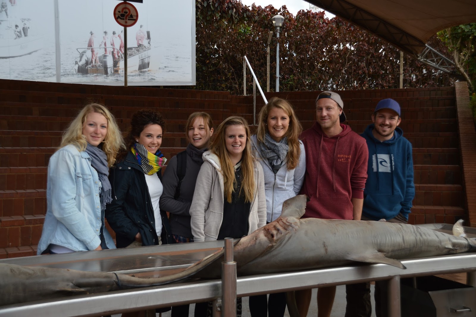 Semester Abroad: Sharks Board KwaZulu-Natal