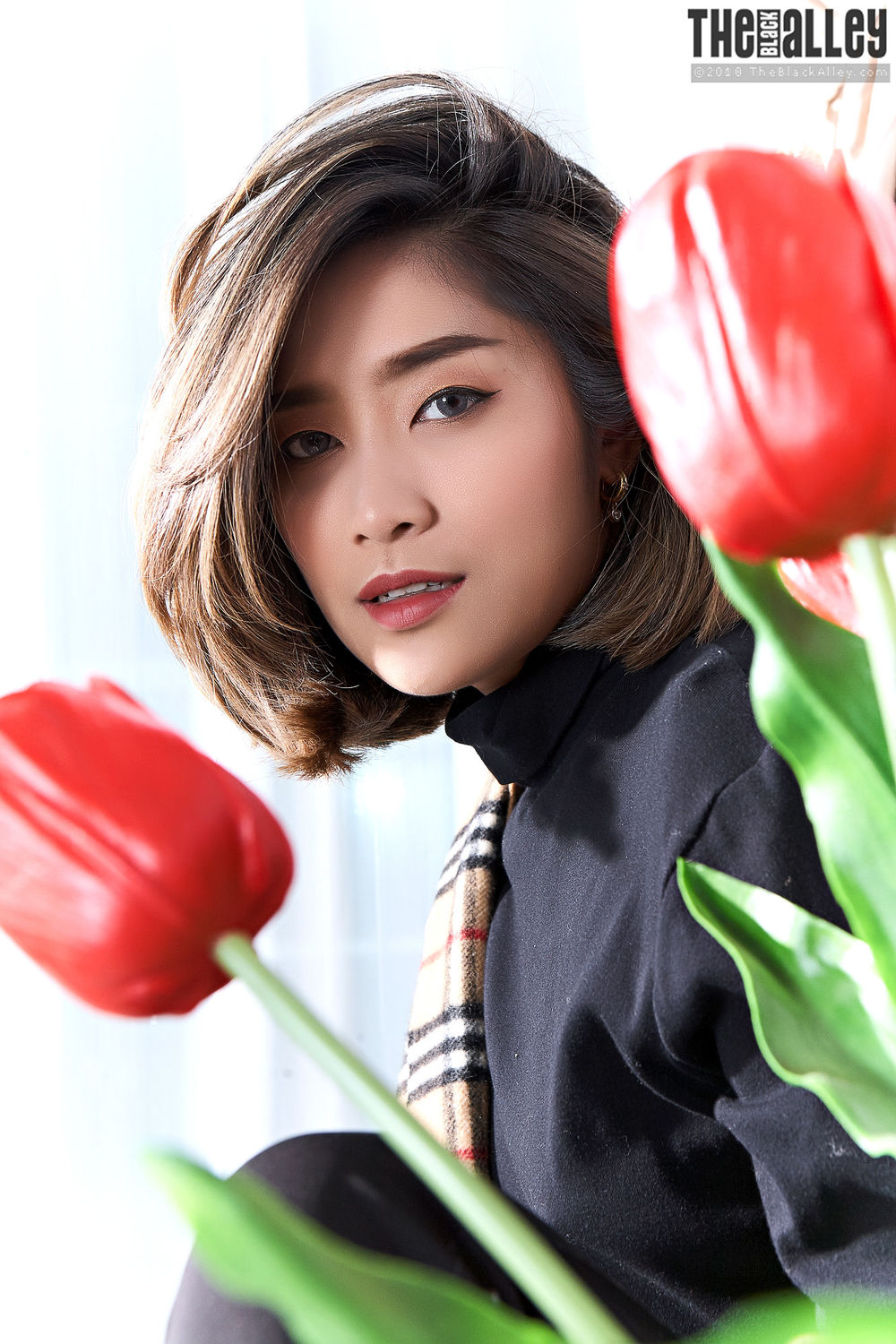 [The Black Alley] Apple Set 50