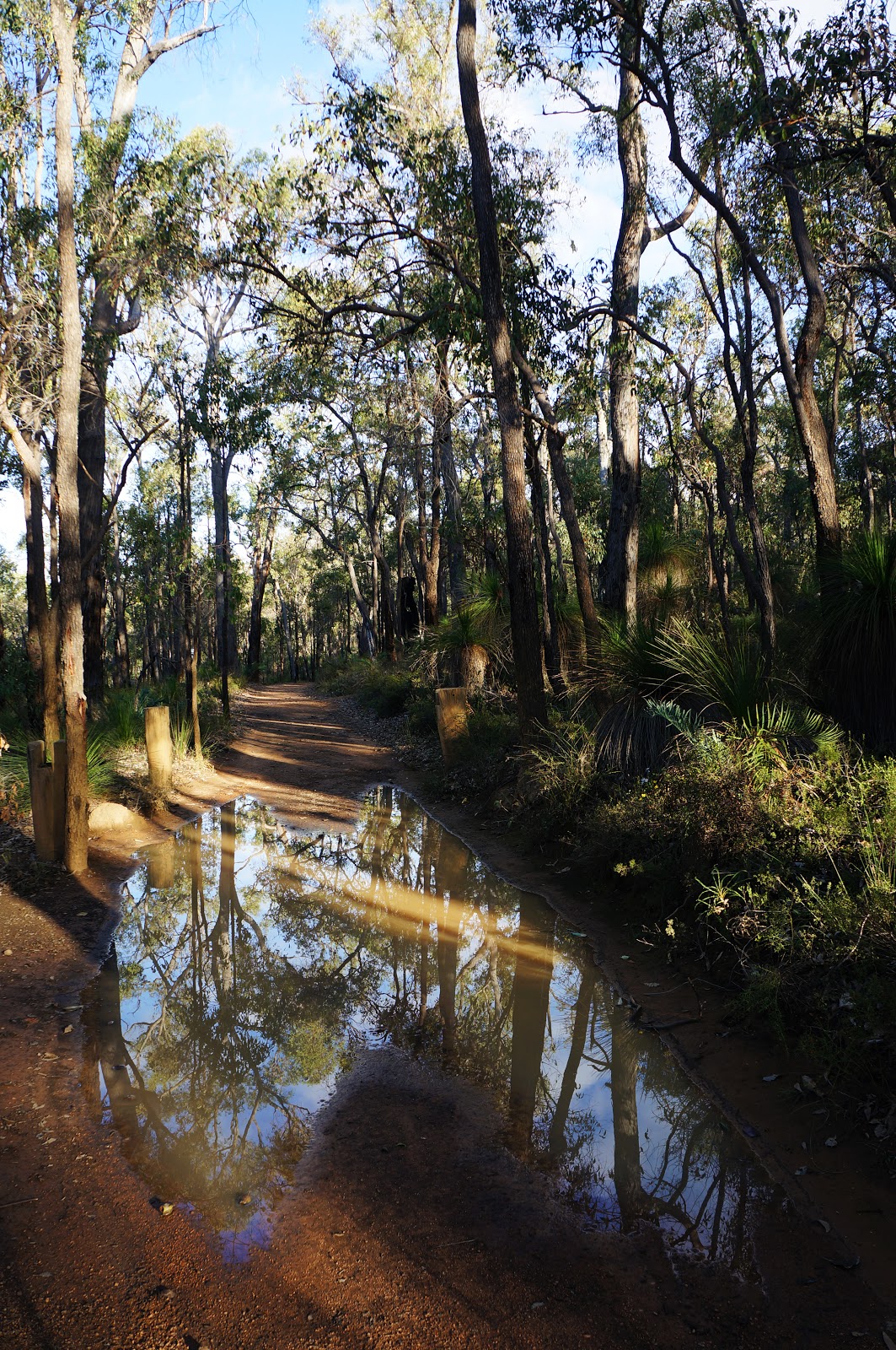 The Dell to South Ledge (Beelu National Park) ~ The Long Way's Better