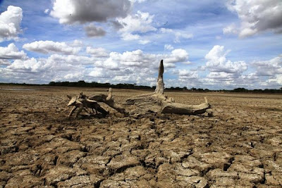 Garimpando Palavras - O Blog de Marcos Eugênio: Seca no Nordeste afeta ...