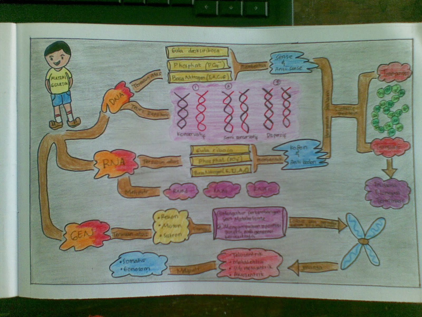 Sagulan Pung: Mind Mapping biologi Kelas XII semester 1