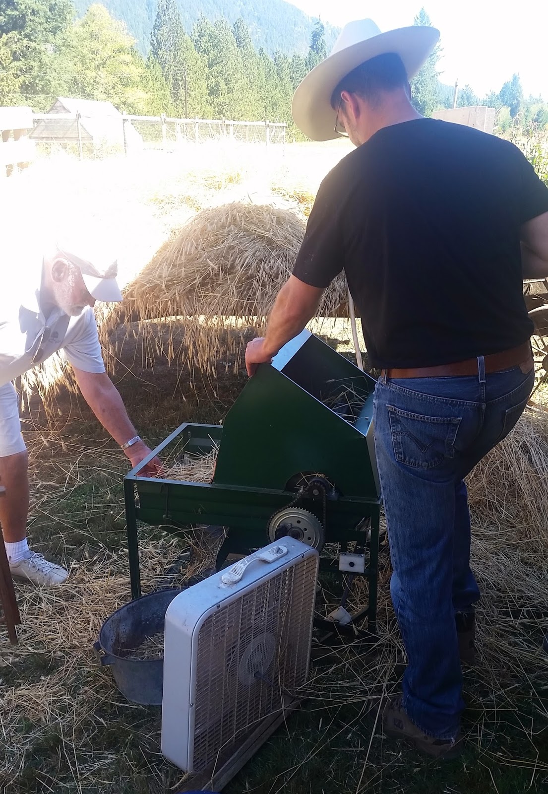 Littlefield Farm Web Log