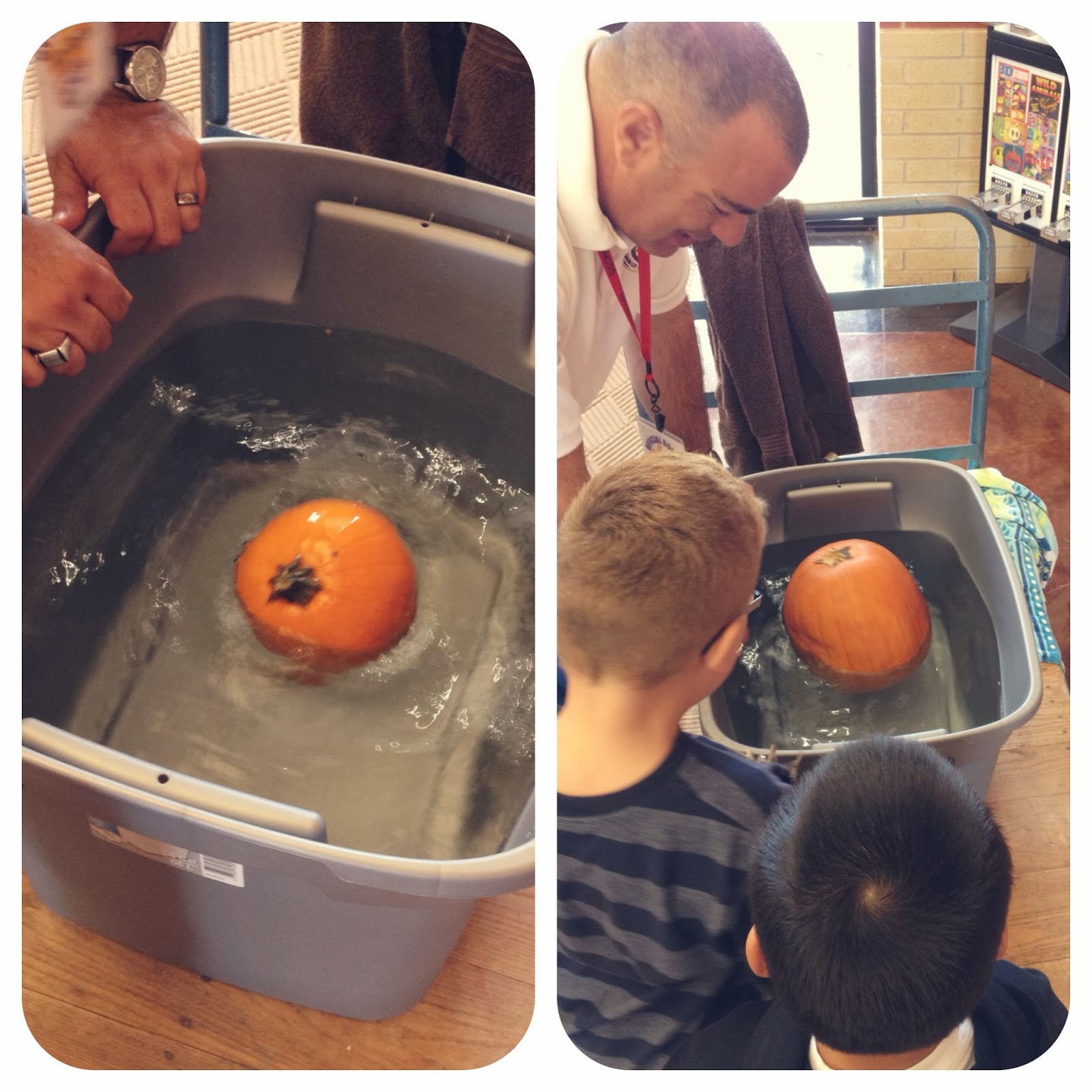 Simply Second Grade: Hello, October! Pumpkin Fun + a FREEBIE
