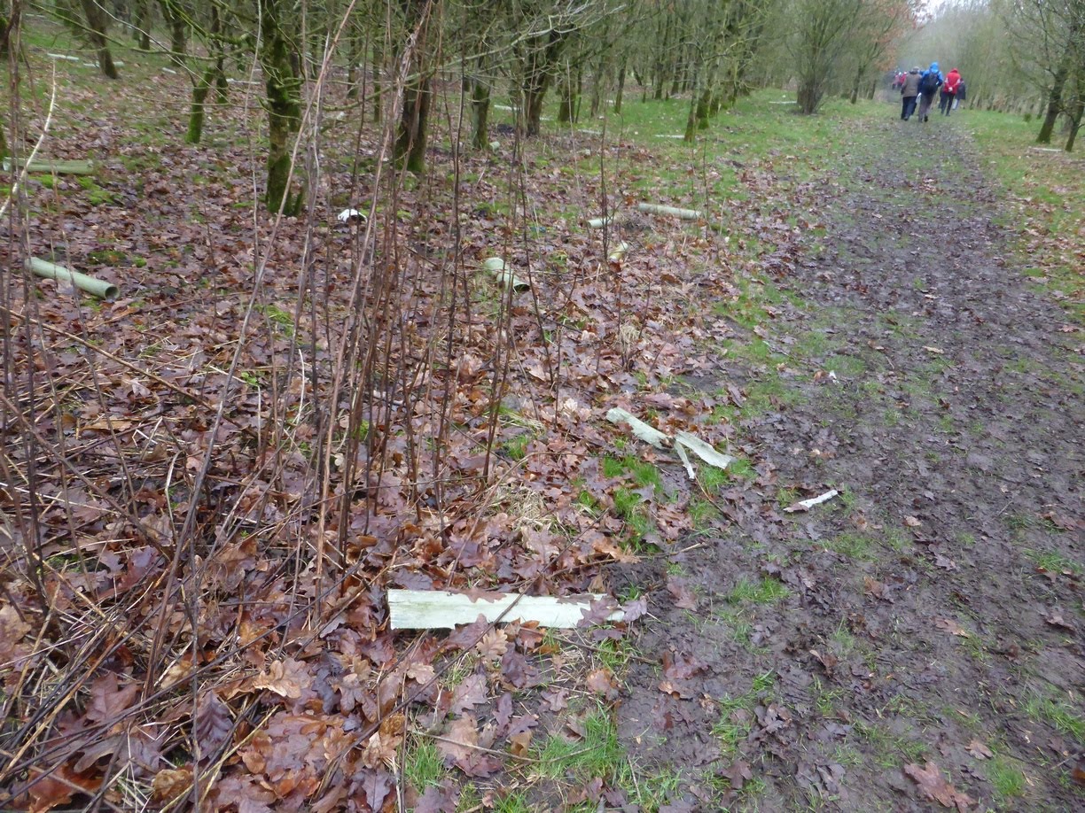 The Rainforest Fund Project: Pictures of walk at Hellifield Flashes on ...