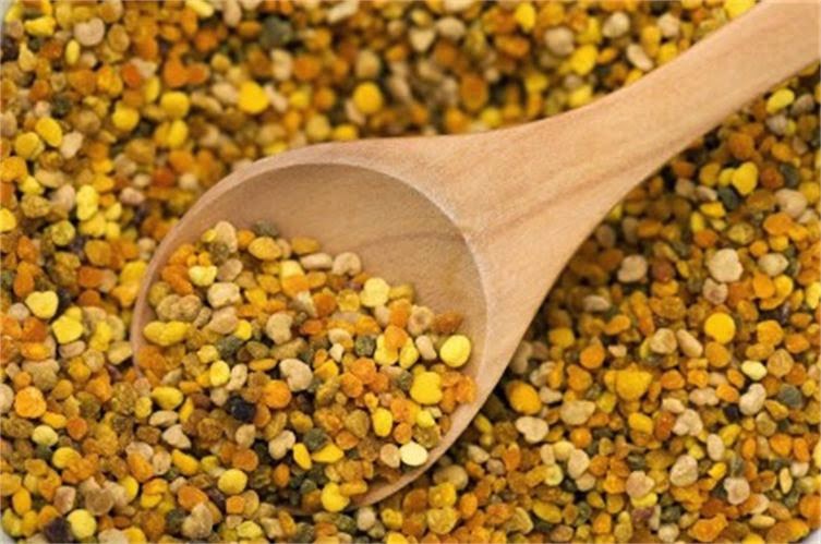 Buzzing Across America: Pollen: the Protein of the Hive