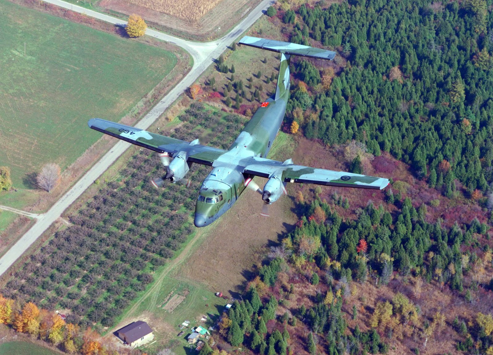 airforce photos: CC-115 Buffalo