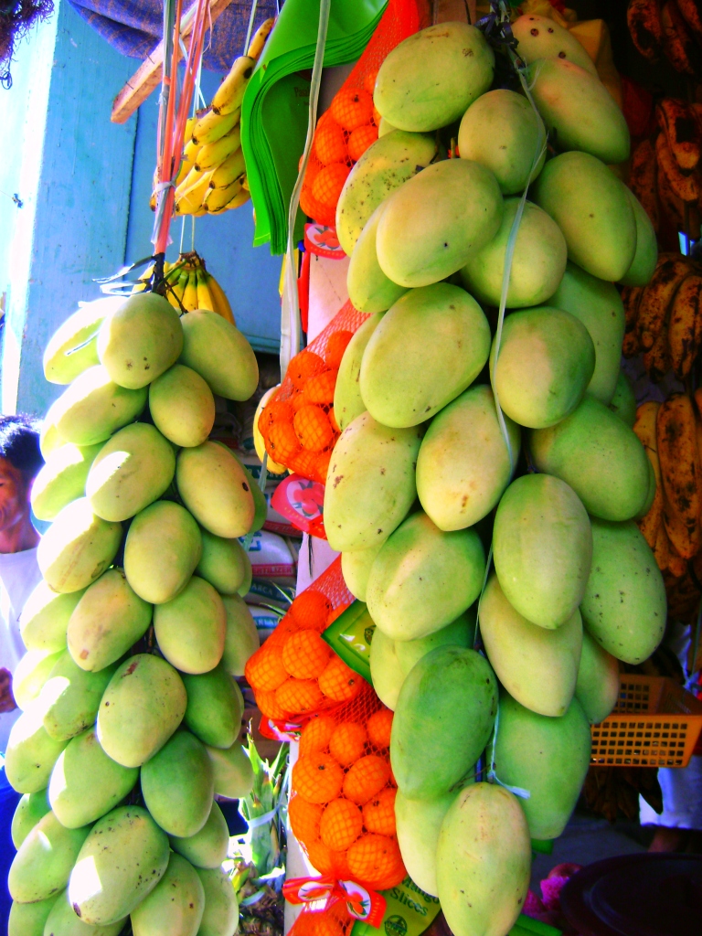 the traveller & her thoughts: December 2011