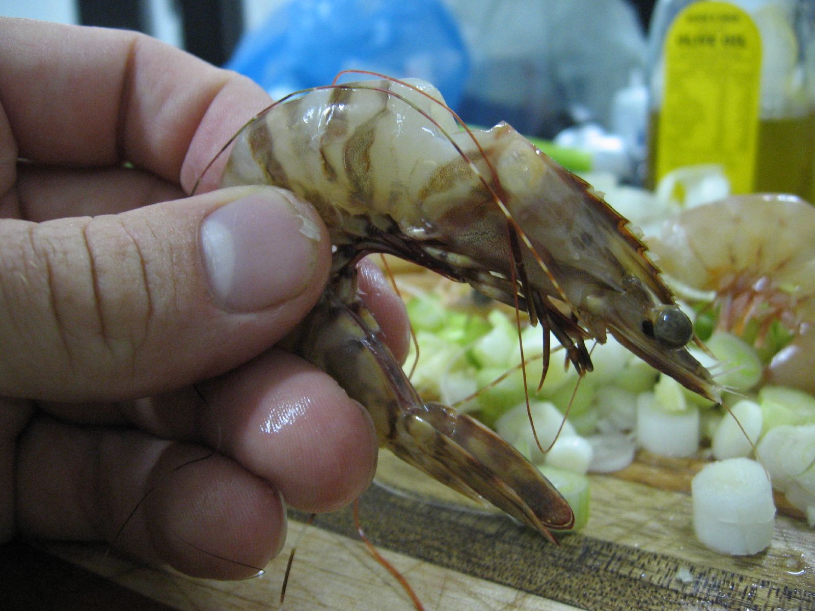 The Aquaculturists: 12/12/2016: White spot prawn disease believed to be ...