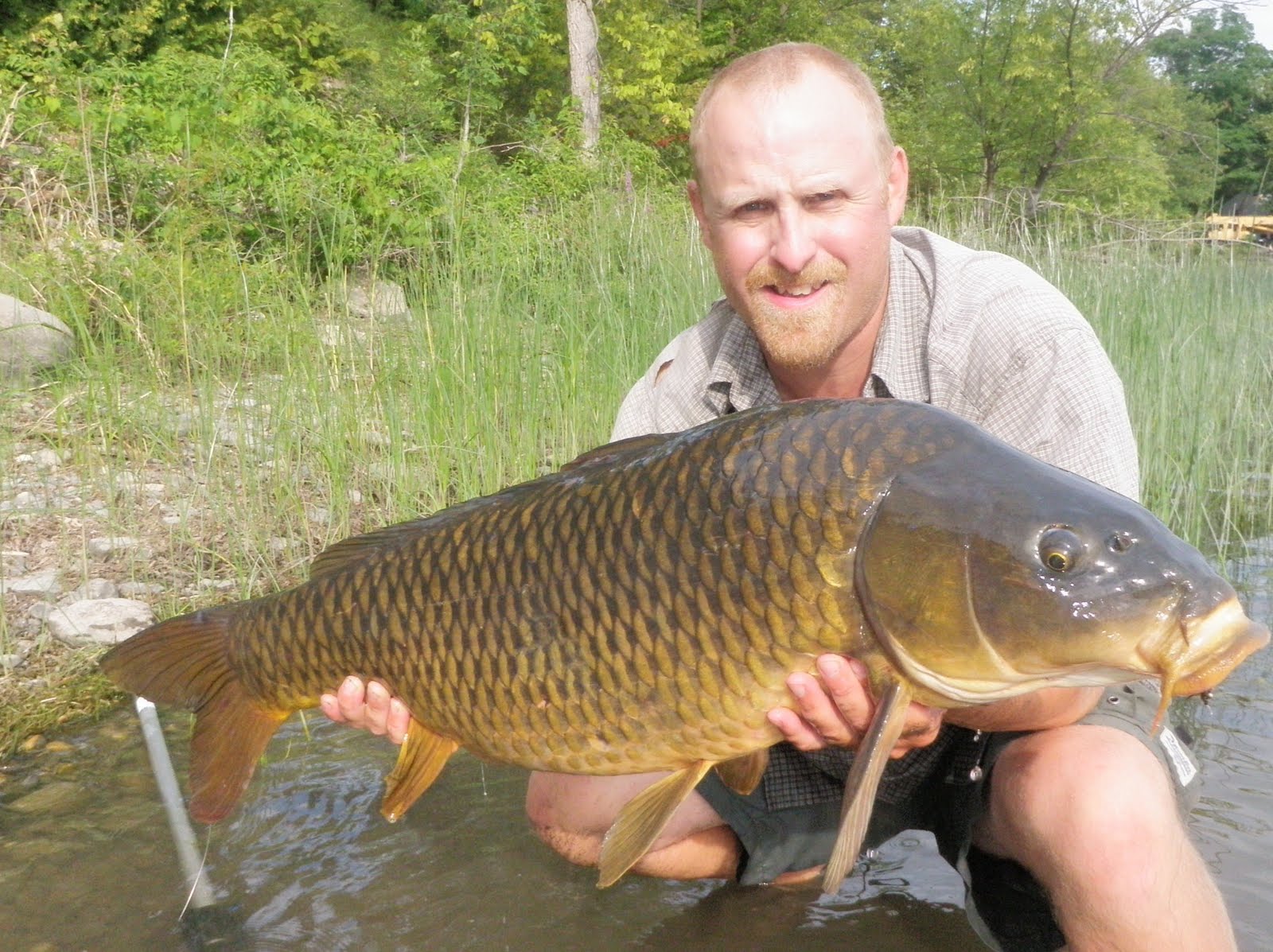 The Adventures and Musing of Drew Price, Angler: Carpe Carpio