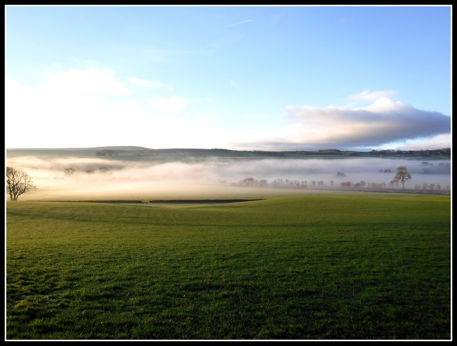 The Flee, Float & Foto: In the Mist