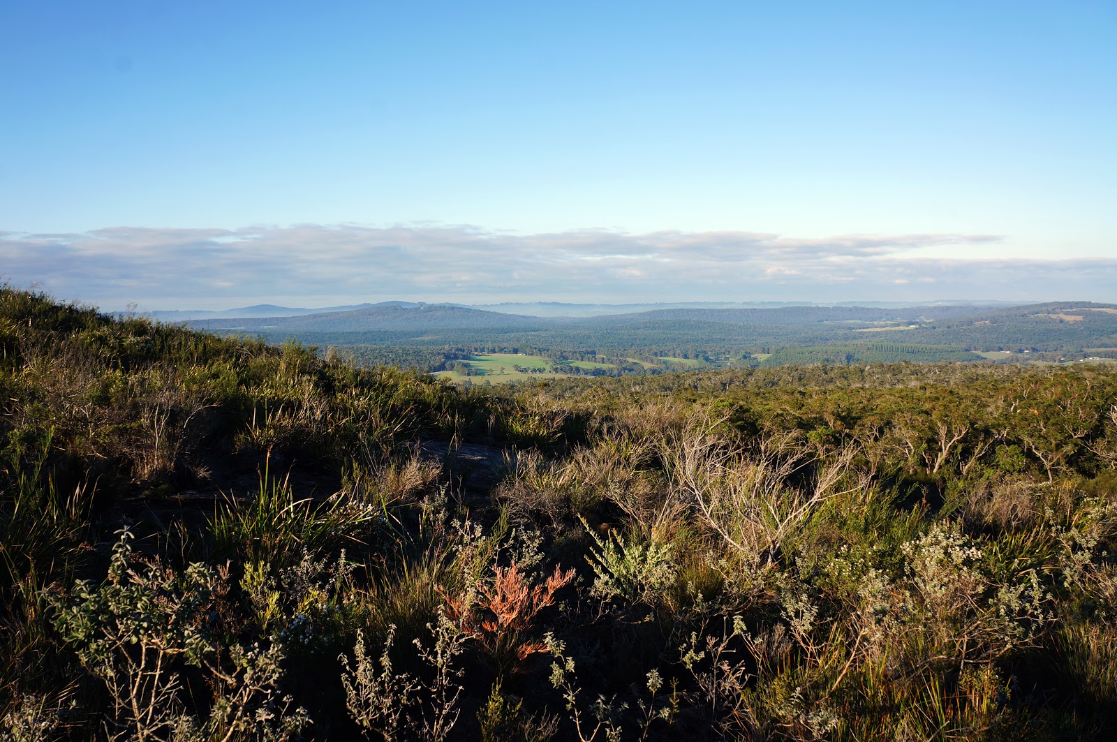 Mt Lindesay Walk Trail (Mt Lindesay National Park) ~ The Long Way's Better