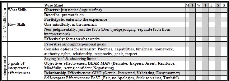 DBT in 3 Months: My Journey through Marsha Linehan's Little Red Book ...